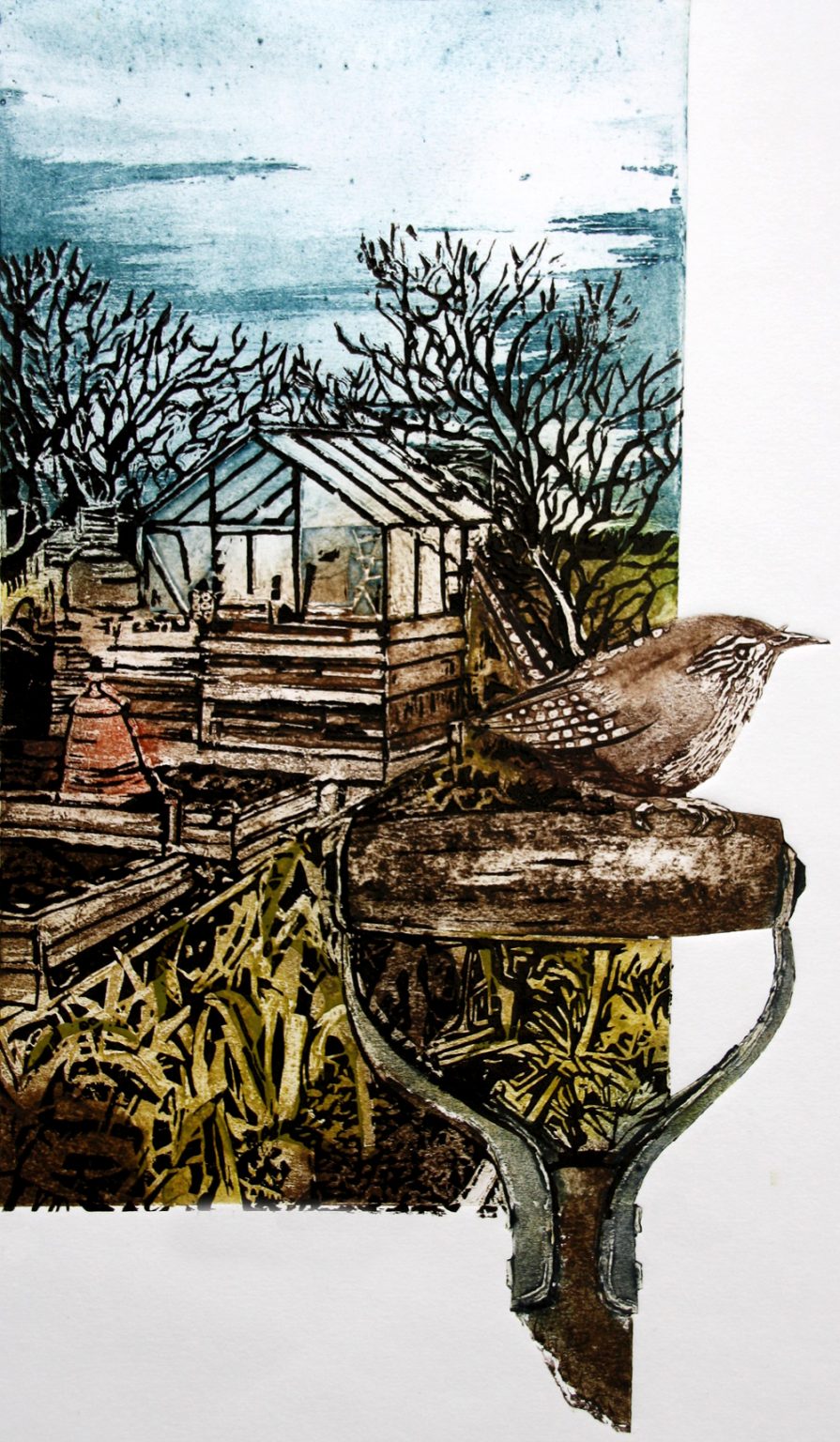 Allotment Wren – Derby Print Open