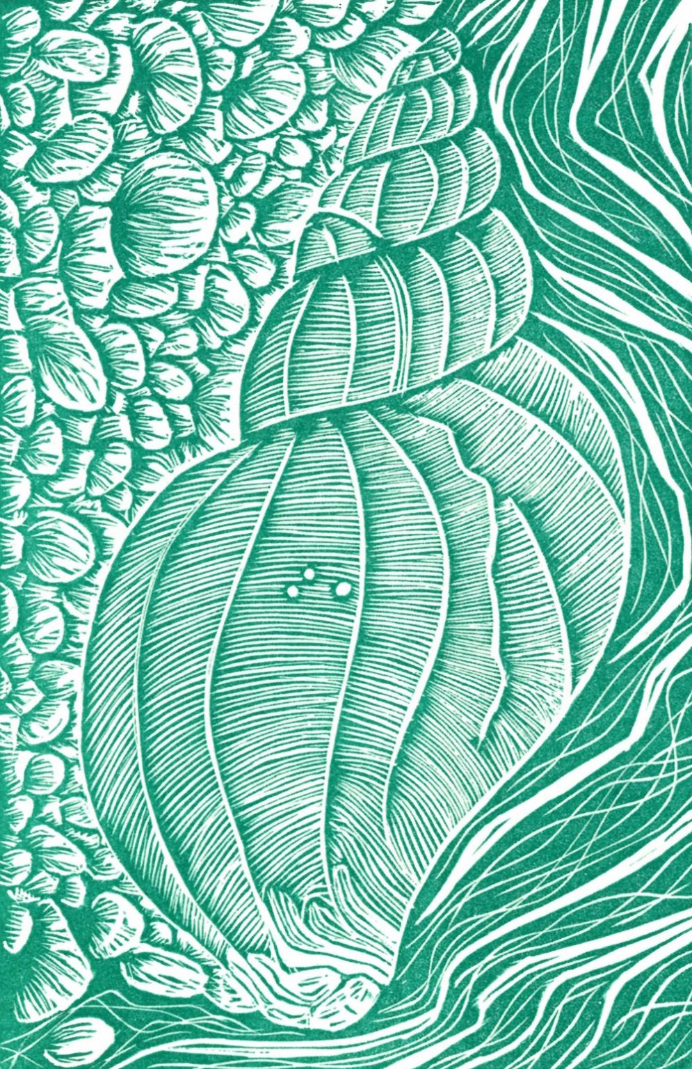 Shell and Tide (Green) – Derby Print Open