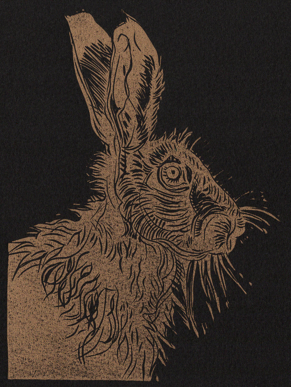 Golden Hare – Derby Print Open