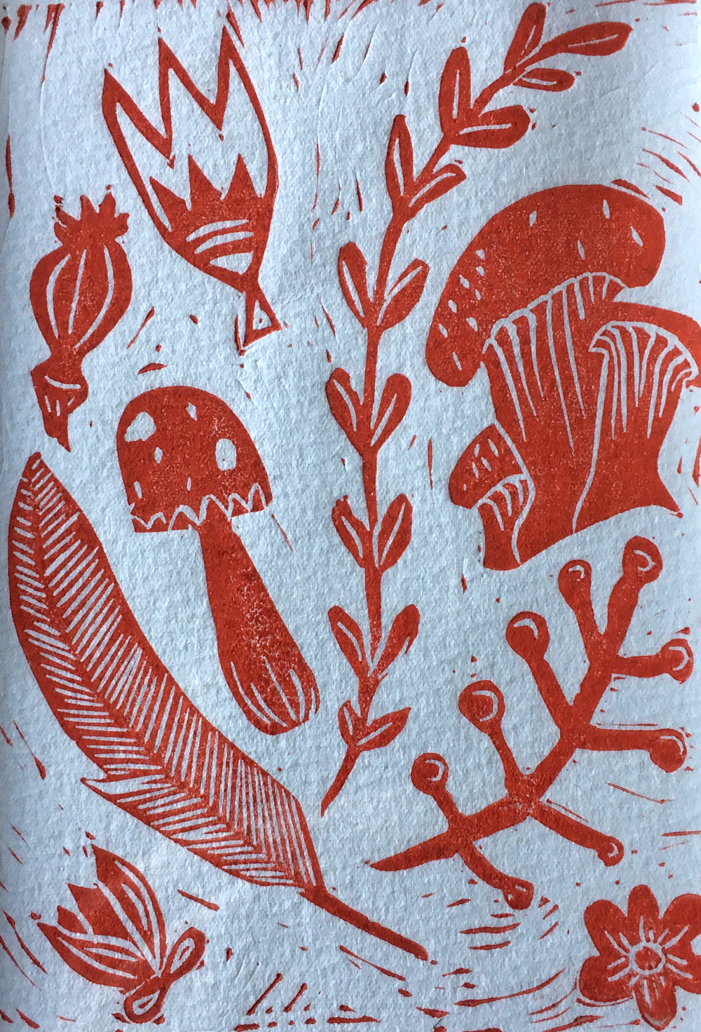 Red finds – Derby Print Open