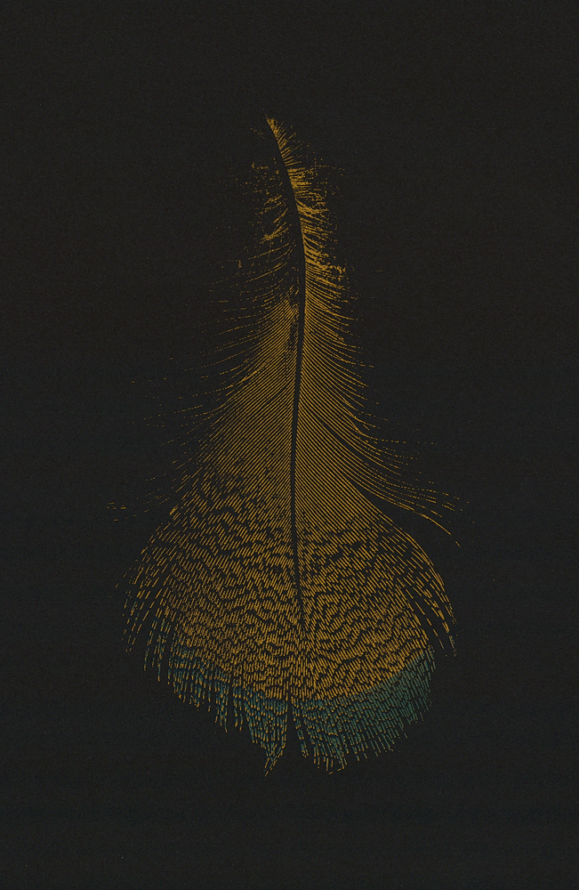 Golden Feather – Derby Print Open