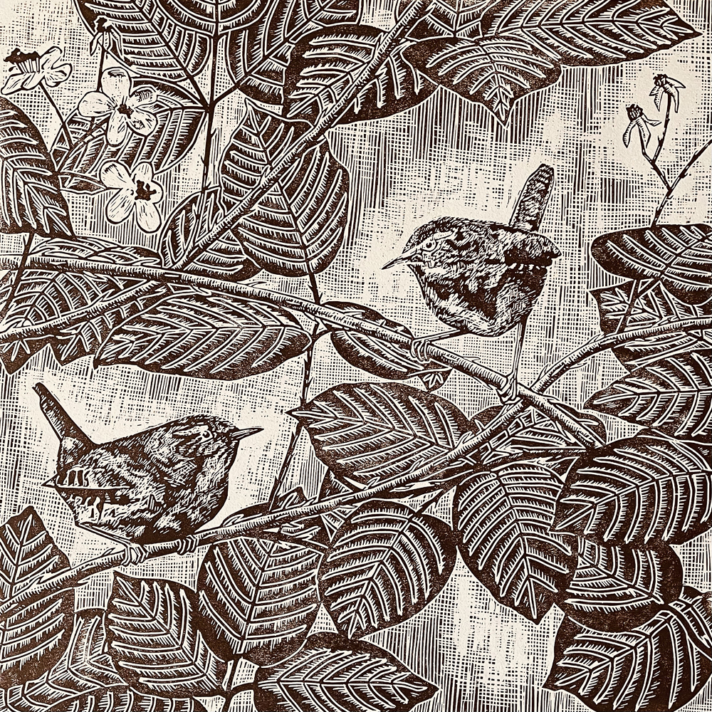 Wrens amongst the brambles – Derby Print Open