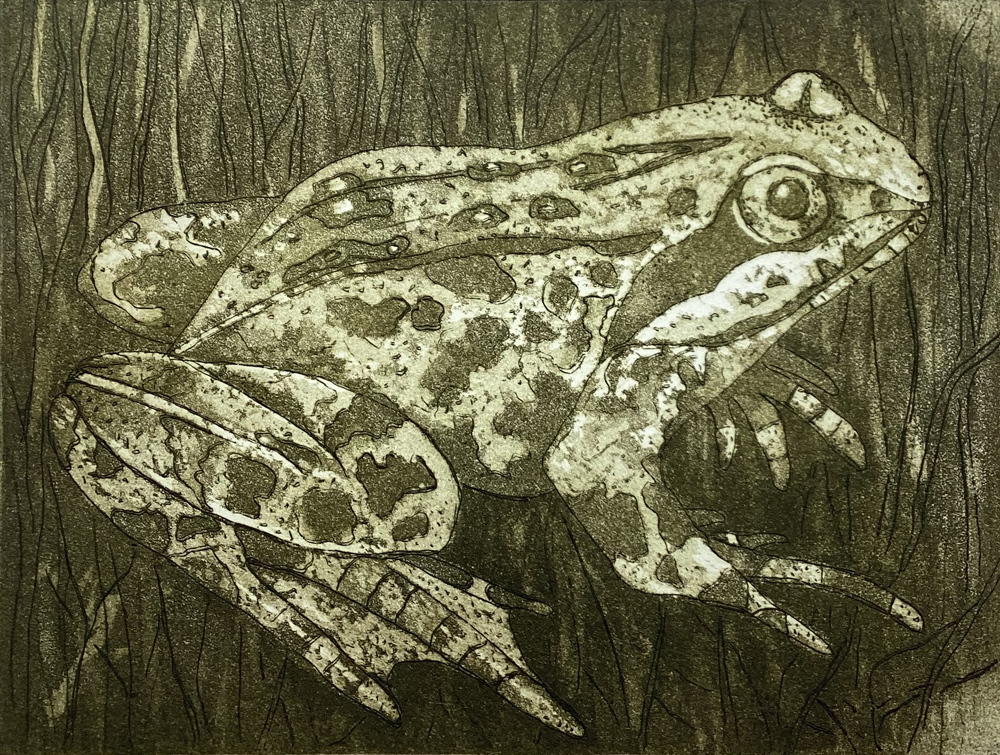 Frog – Derby Print Open