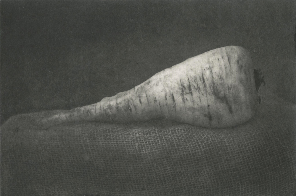 The Parsnip – Derby Print Open