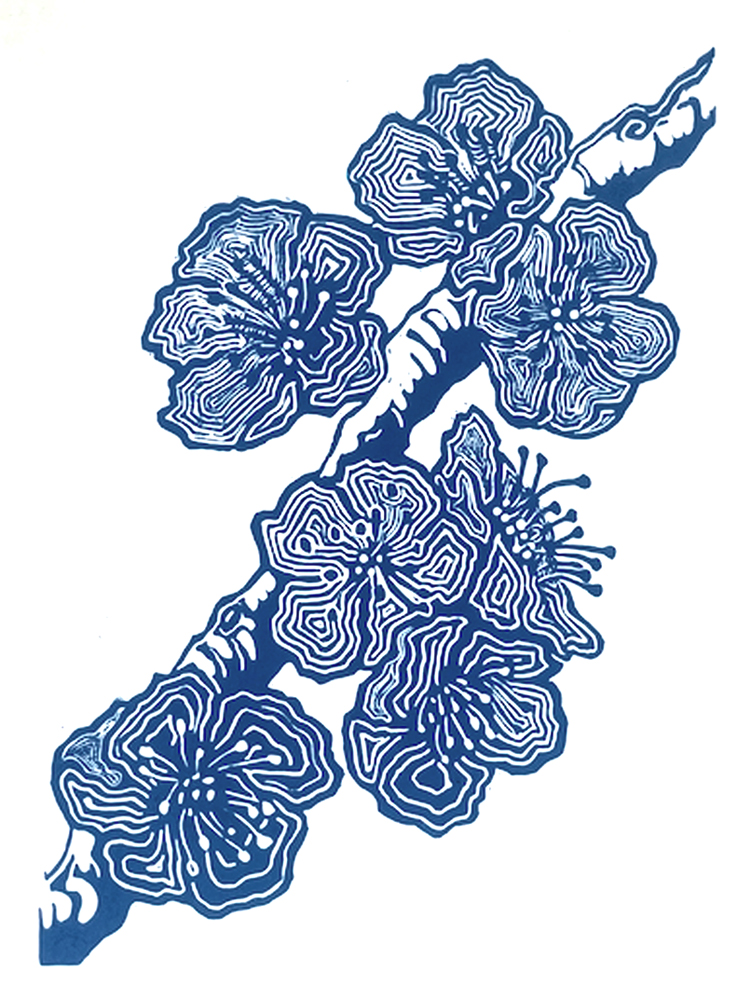 Wild Plum – Derby Print Open