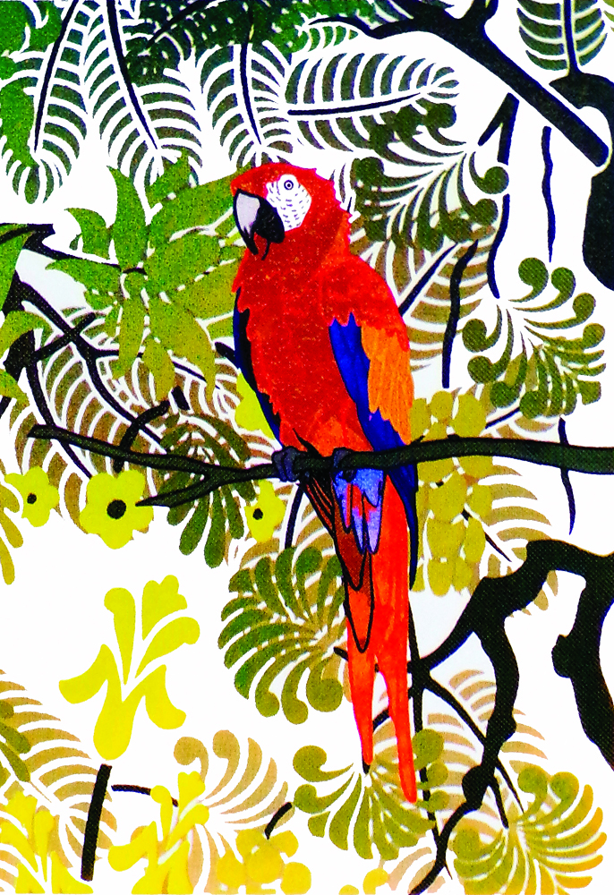 Shinning Bright in the Rainforest – Derby Print Open