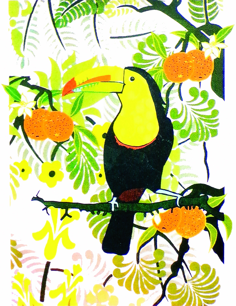 Toucan’s love Oranges – Derby Print Open